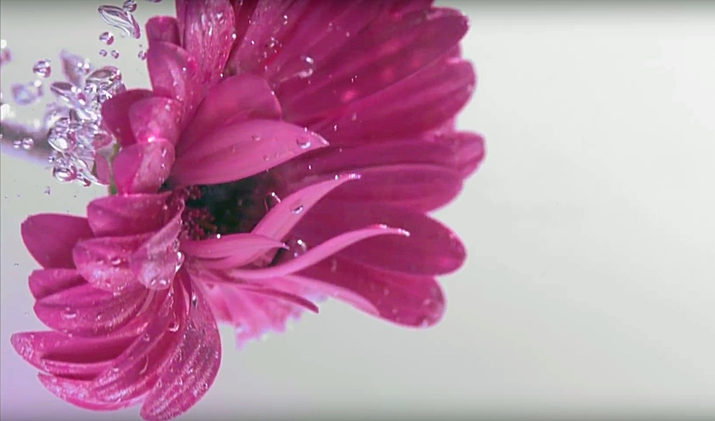 Har vatten minne och kan spegla tankar?