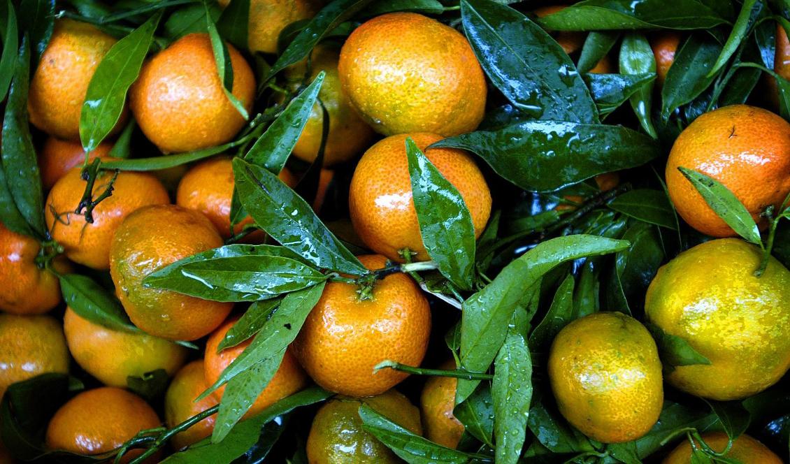 EU förbjuder omstritt bekämpningsmedel