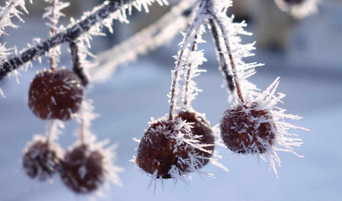 Mammabloggen: ”Jag har frusit i hela mitt liv – man vänjer sig”