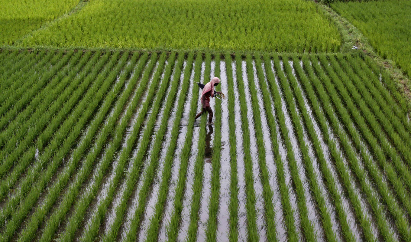 Högsta rispriserna på 15 år