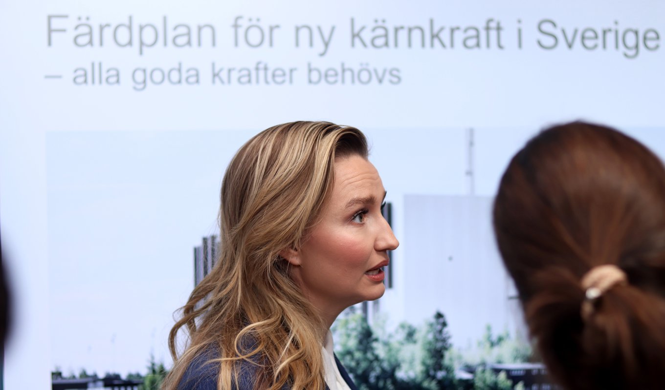 Jan Blomgren: Strategi för regeringens kärnkraftsstrategi