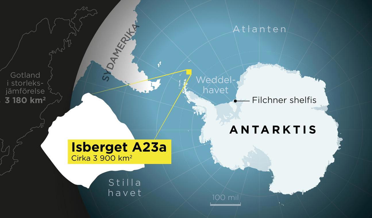 Världens största isberg på drift