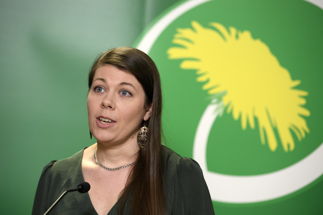 MP vill se stöd för att leasa och köpa elbil