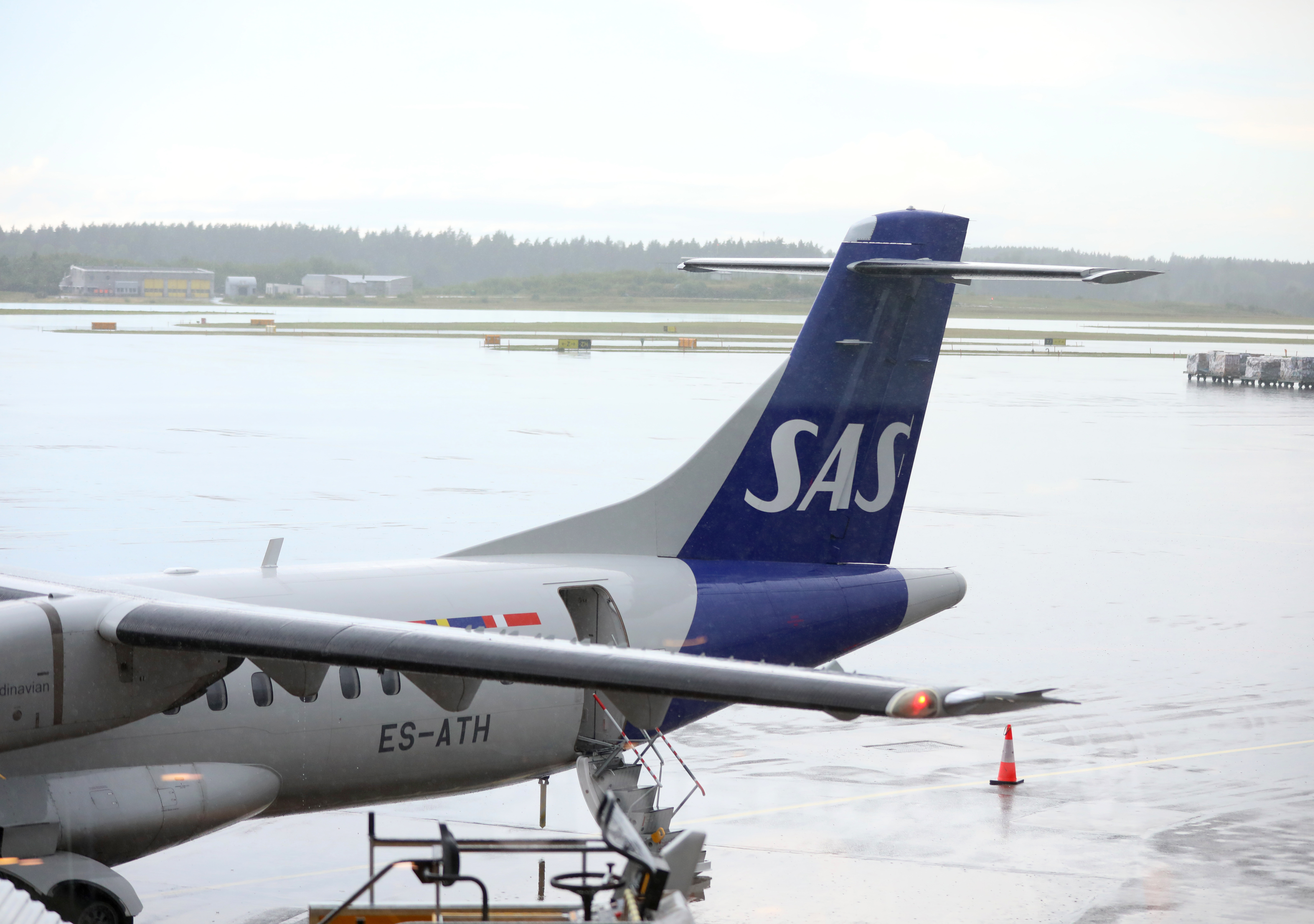 SAS-plan krockade med fågel – tvingades vända