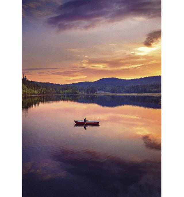 Den halvfärdiga himlen