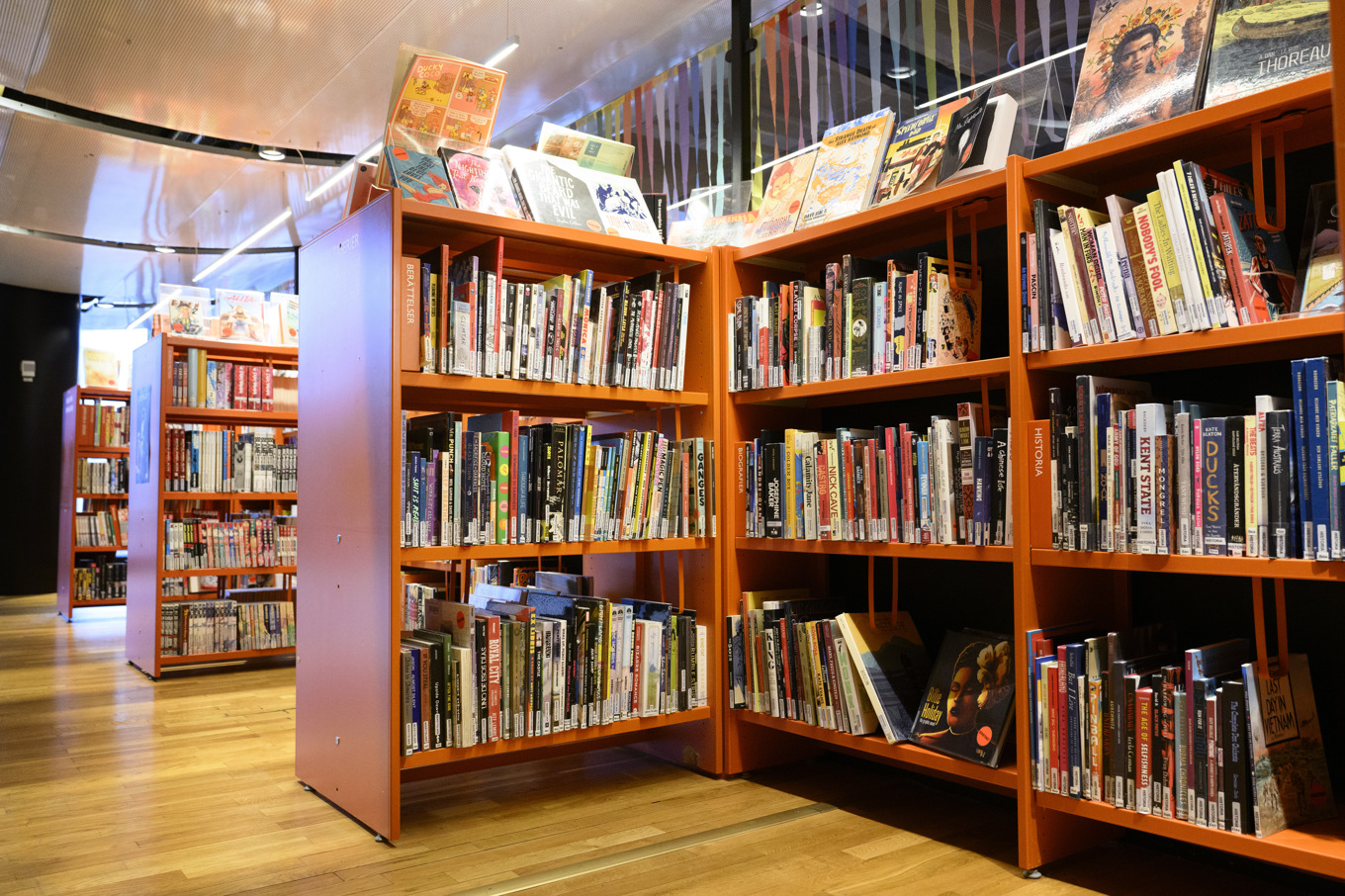Färre portades från bibliotek i fjol