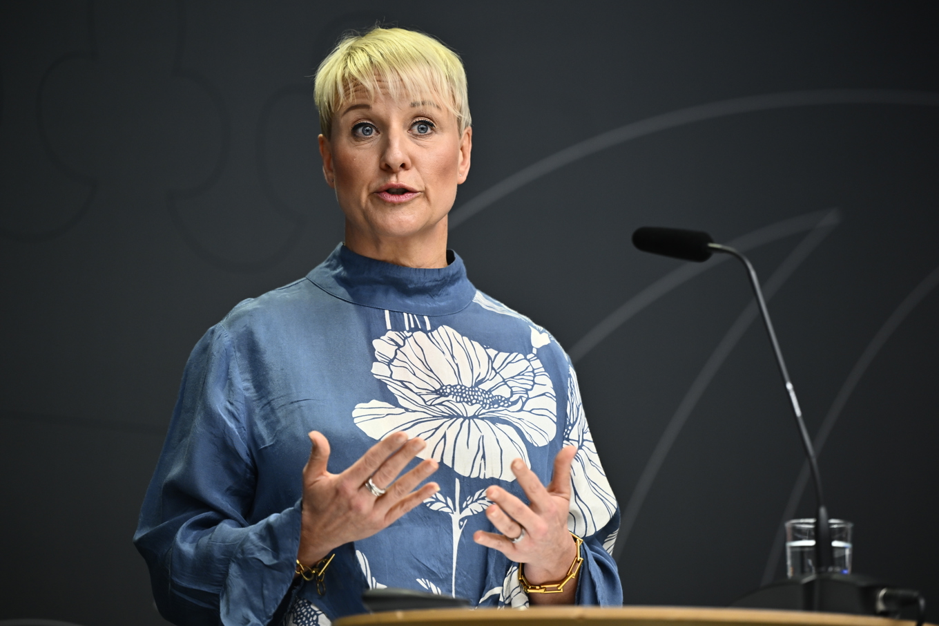 Förslag: Hårdare krav för bidrag till invandrare