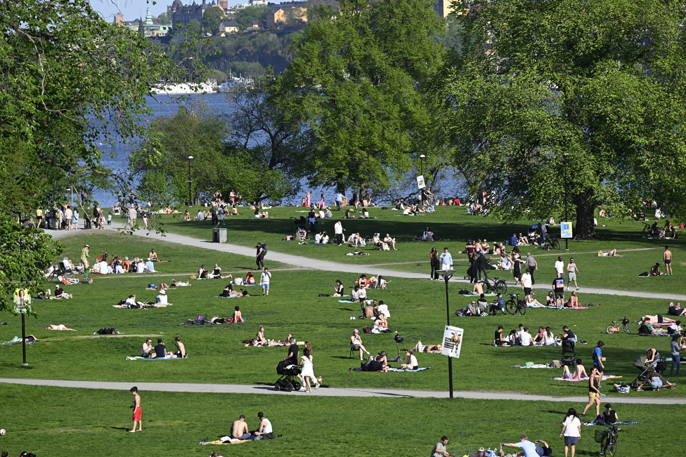 Varmt och soligt väder väntas till helgen