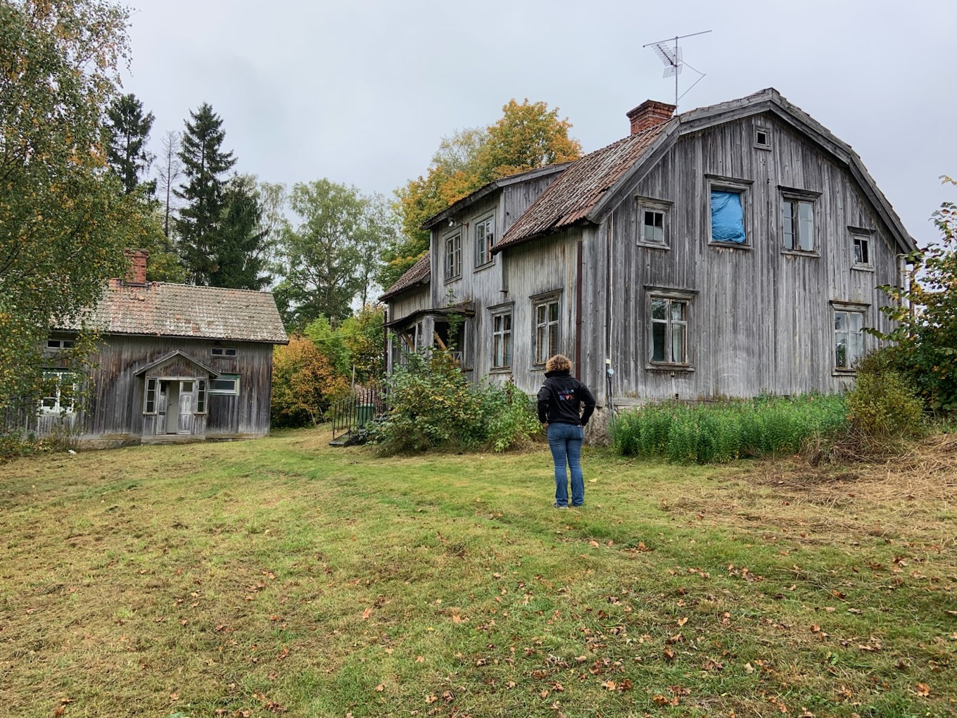 Gamla hus – ny landsbygd