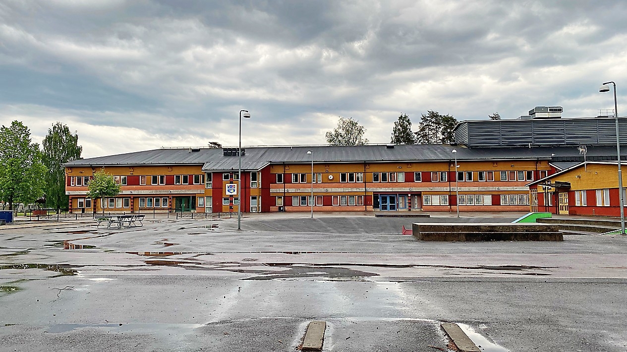 Friskolor får skulden för skolans problem